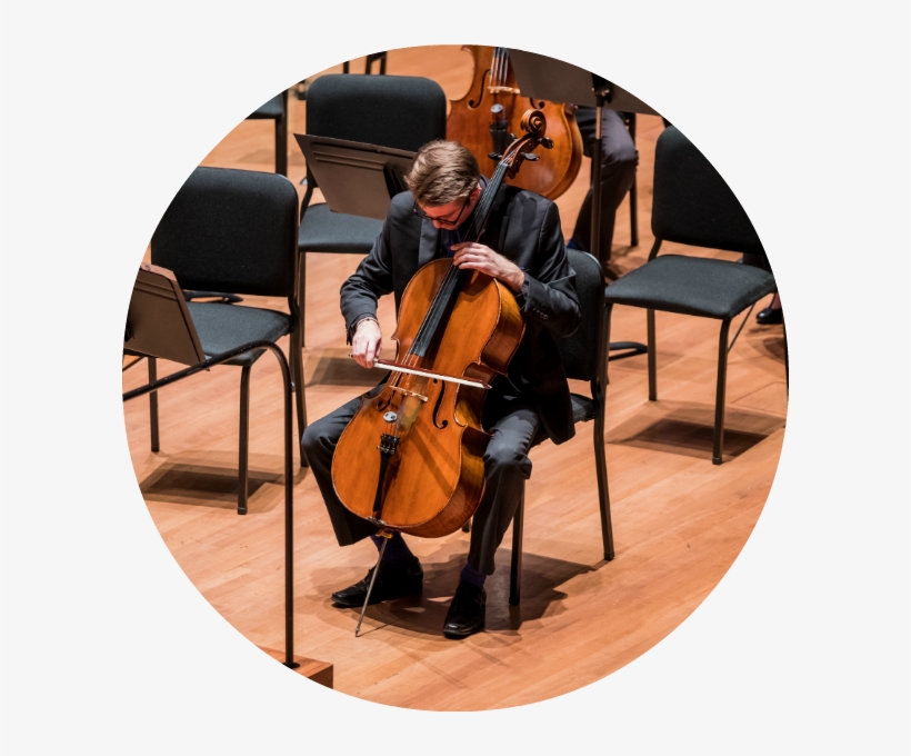 Musician - Free Transparent PNG Download - PNGkey