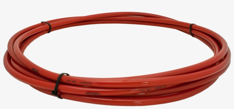 Belts - Free Transparent PNG Download - PNGkey