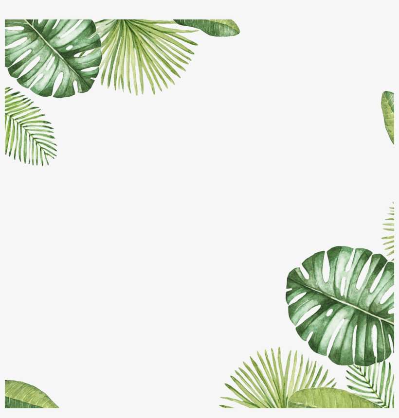 Transparent Background Leaf Border - Free Transparent PNG Download - PNGkey