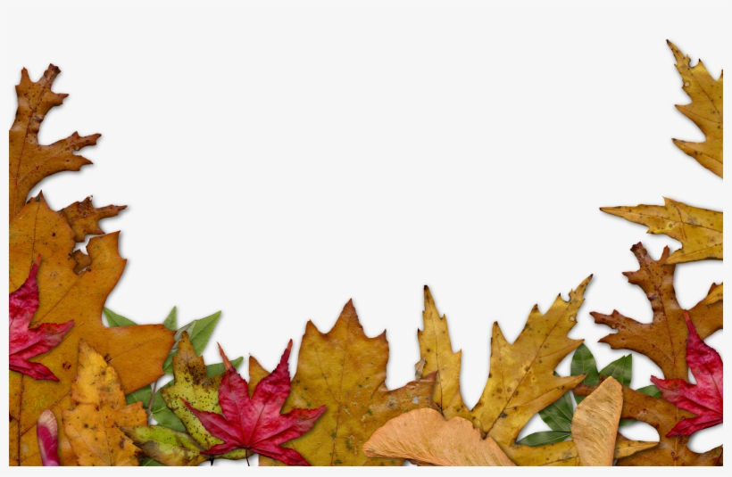 Autumn Leaves Clipart Corner - Autumn Leaves Border Png - Free ...
