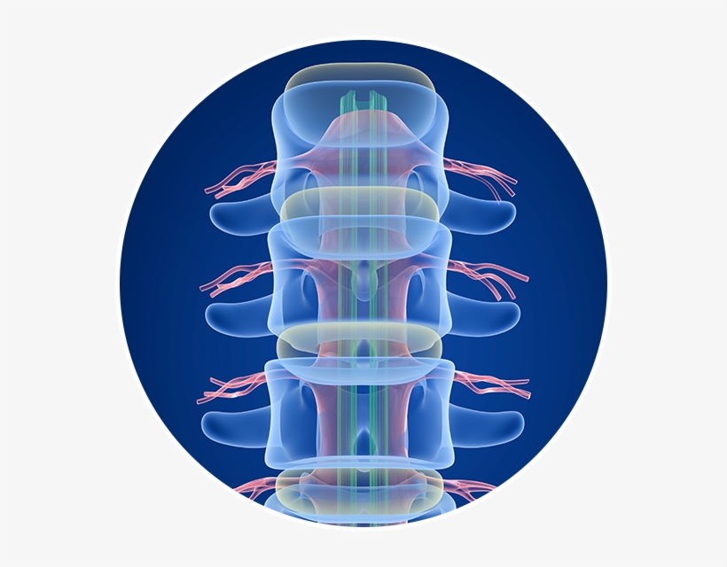 Real Patients - Human - Free Transparent PNG Download - PNGkey