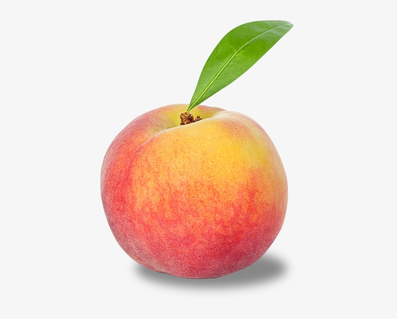 Avoid Excess Usage Of Peach Seeds As They May Have - Passion Fruit ...