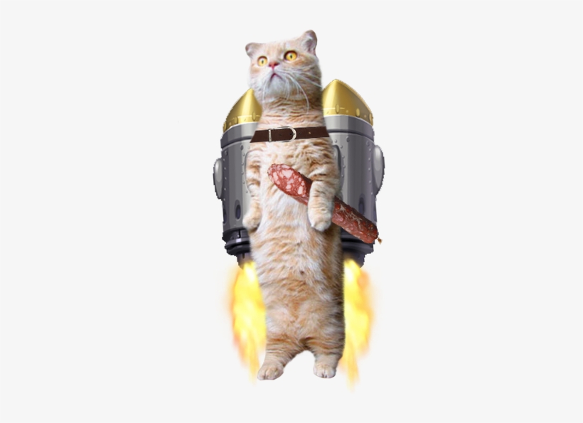 Standing Cat Png - Tale Of Mrs. Tiggy-winkle [book] - Free Transparent ...