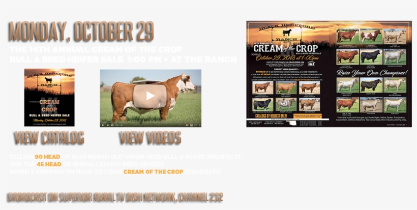 Black Hereford Ranch - Free Transparent PNG Download - PNGkey