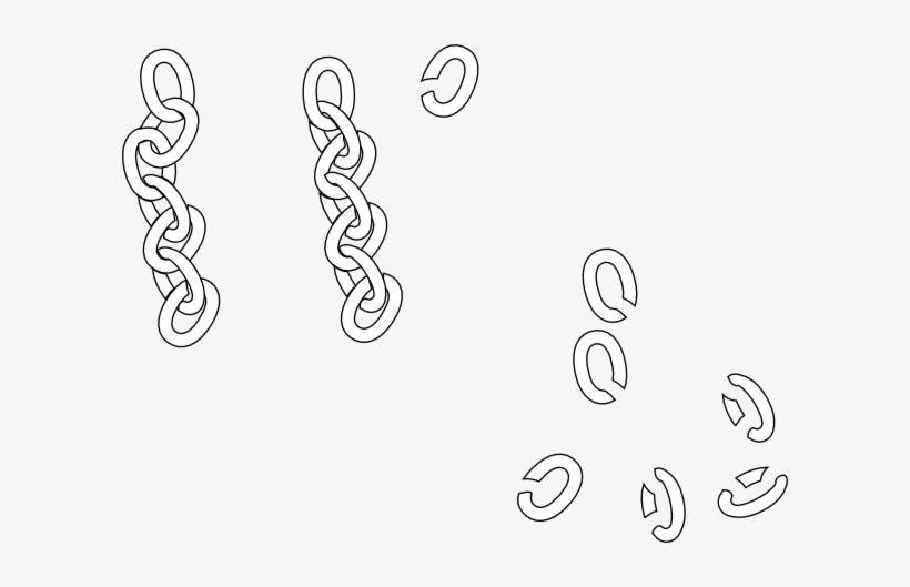 Chain Outline - Free Transparent PNG Download - PNGkey