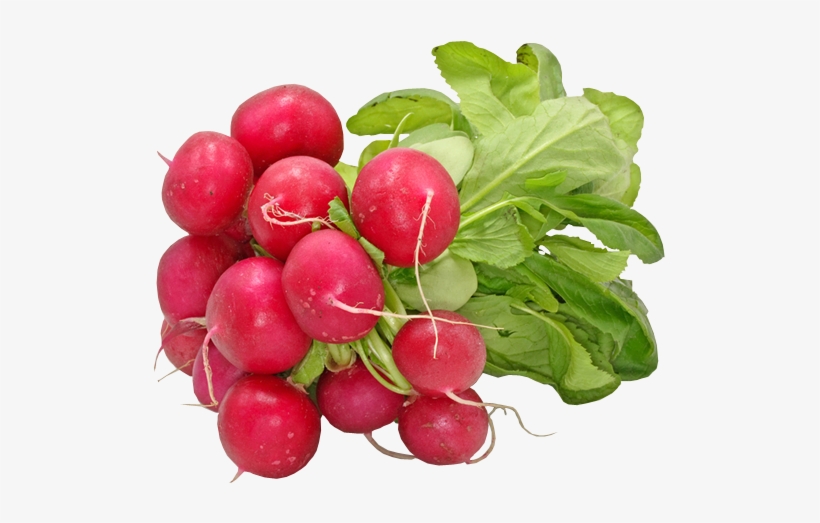 Radish Png - Redish - Free Transparent PNG Download - PNGkey