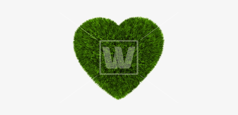 Png Grass Heart - Heart - Free Transparent PNG Download - PNGkey