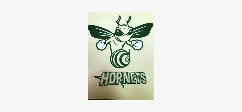 Hornet - Vinyl Sticker Decals Bee Hornet Cartoon Sports Bike - Free ...