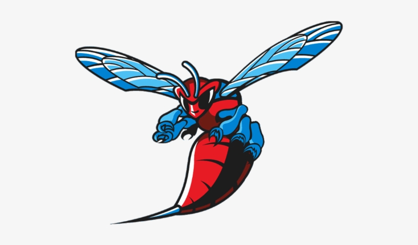 Dsu Hornets Logo 2 By Sean - Delaware State Athletics Logo - Free ...