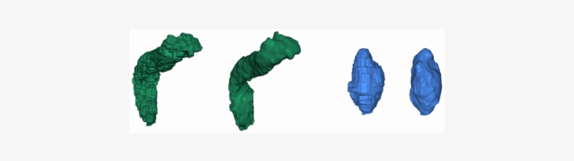 Abstract - Caterpillar - Free Transparent PNG Download - PNGkey