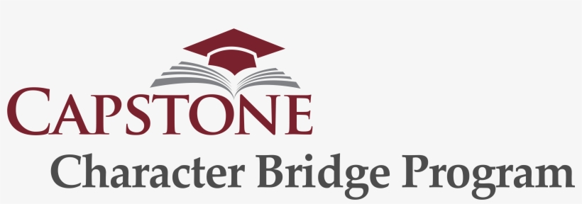 Capstone-character Bridge Program - Kruger&matz - Free Transparent PNG ...