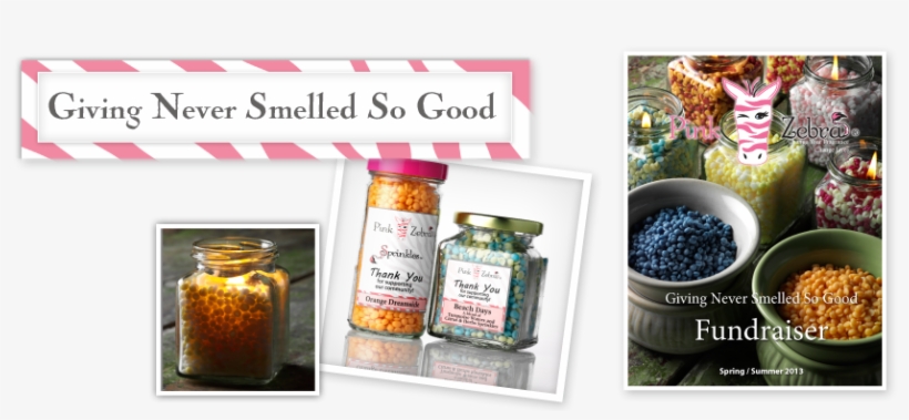 Pink Zebra Has A Brand New Fundraiser Program With - Bilberry - Free ...