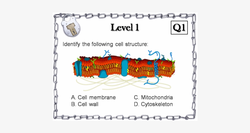 Plant And Animal Cell Organelles Escape Room - Biochemistry Study Guide ...