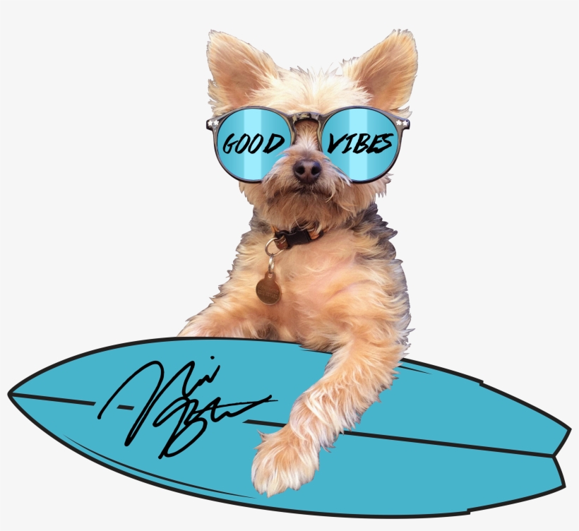 Customink Logo Color - Wallpaper - Free Transparent PNG Download - PNGkey