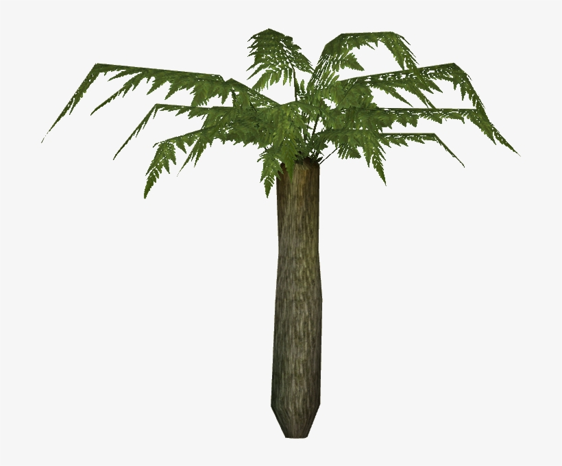 Small Tree Fern - Искусственные Пальмы - Free Transparent PNG Download ...