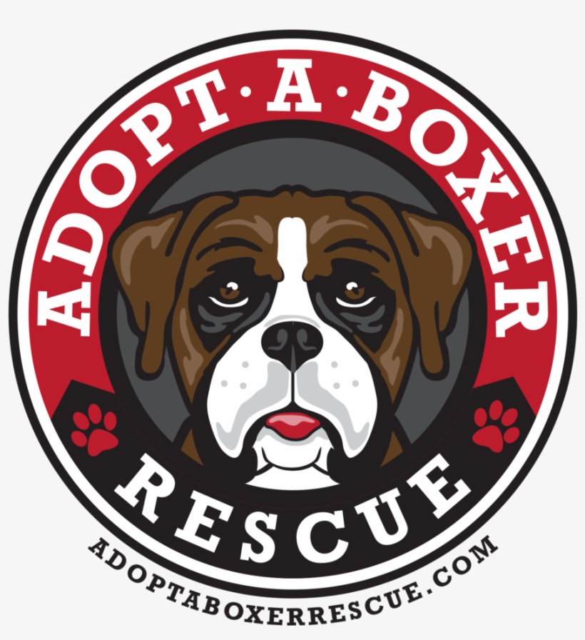 Adpot A Boxer Rescue - Boxer - Free Transparent PNG Download - PNGkey
