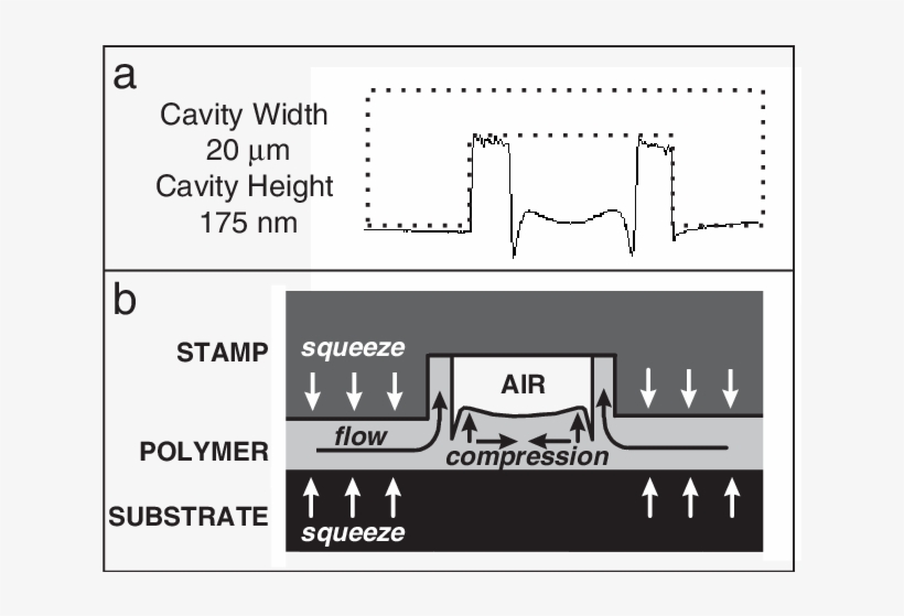 Afm Height Profile For A Partially Filled Rectangular - Diagram - Free ...