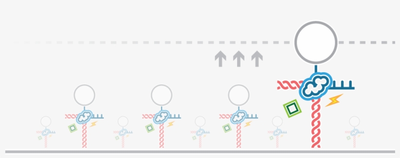 Afs Dna Transcription Small Molecules - Force Spectroscopy - Free ...