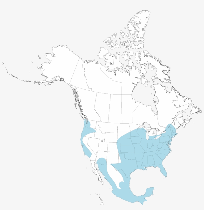 Opossum Map - Historic Range Of Coyote - Free Transparent PNG Download ...