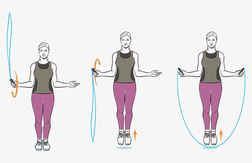 Basic Bounce - Free Transparent PNG Download - PNGkey