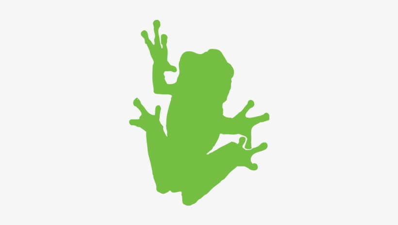 Tree Frog - Tree Frog Gallery & Natural Clothing - Free Transparent PNG ...