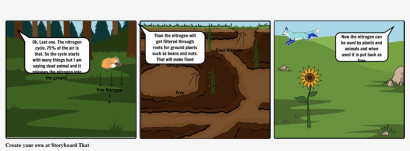 Nitrogen Cycle - Cartoon - Free Transparent PNG Download - PNGkey