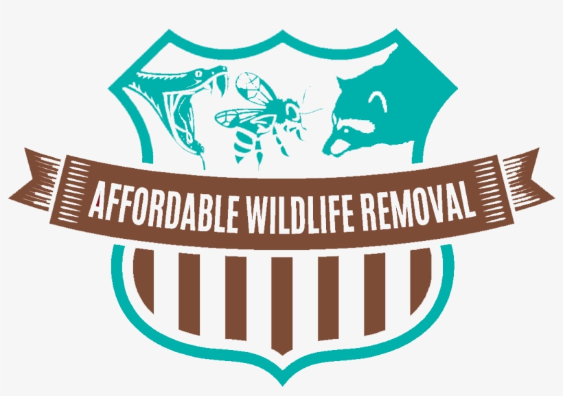 Awr Awr Awr Awr - Logo - Free Transparent PNG Download - PNGkey