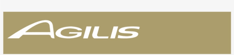 Michelin Xcd2 - Michelin Agilis Logo - Free Transparent PNG Download ...