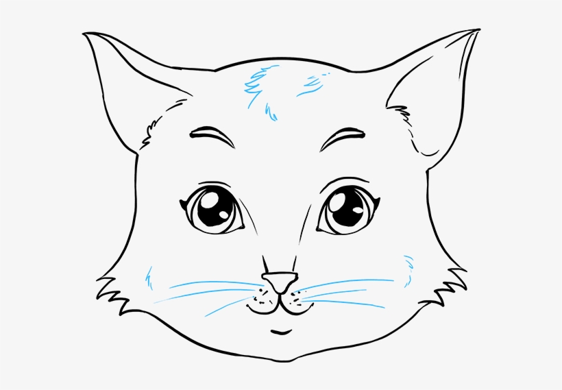 How To Draw Cat Face - Drawing - Free Transparent PNG Download - PNGkey