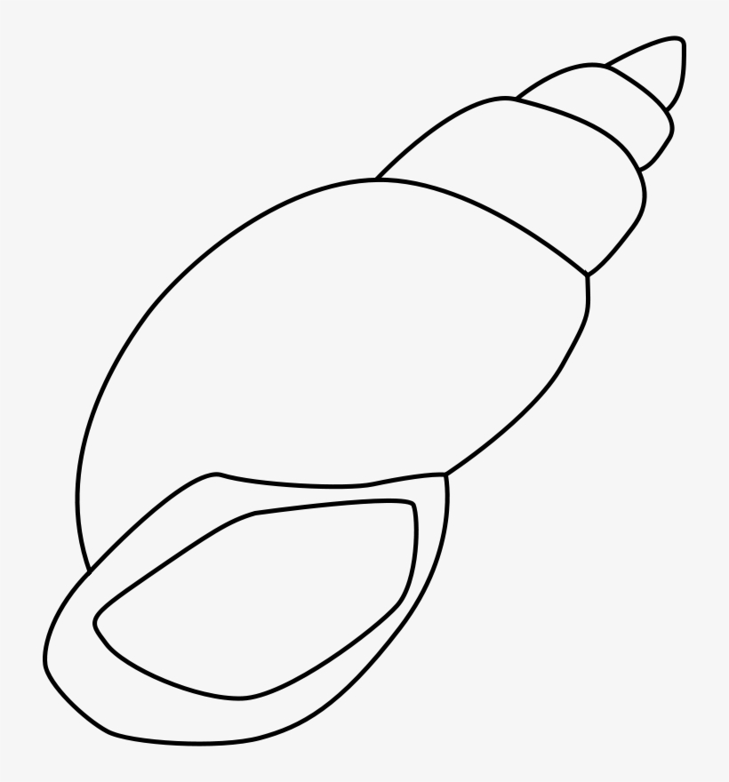 Shell Clipart Black And White - Shell Clip Art Black And White - Free ...