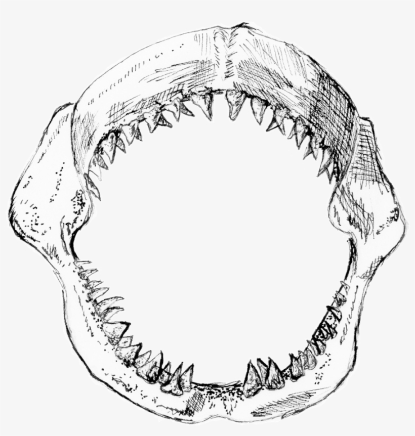 Teeth - Free Transparent PNG Download - PNGkey