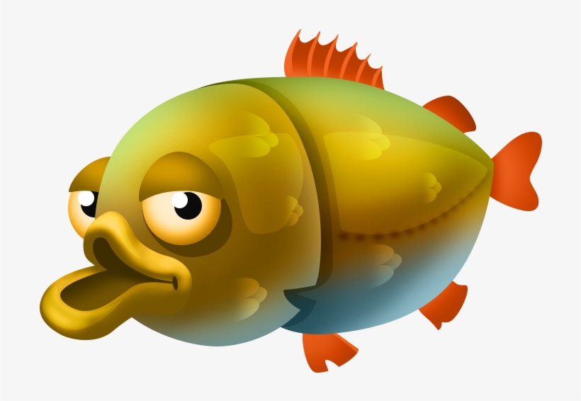 Rudd - Fish - Free Transparent PNG Download - PNGkey