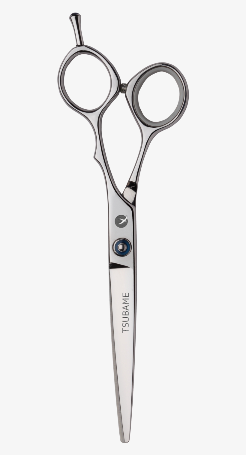 Take - Free Transparent PNG Download - PNGkey