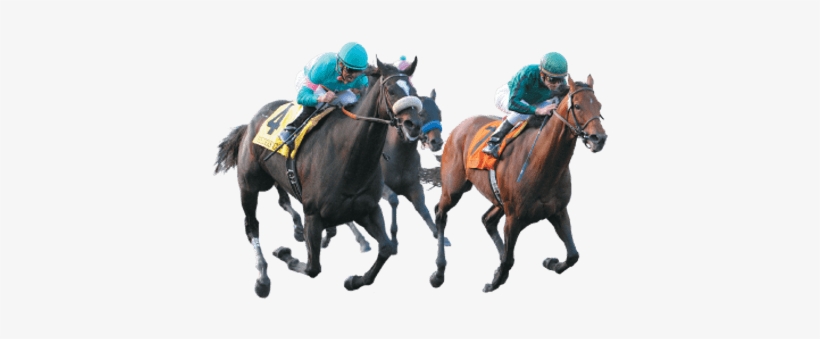 Horse Racing Png Transparent - Free Transparent PNG Download - PNGkey