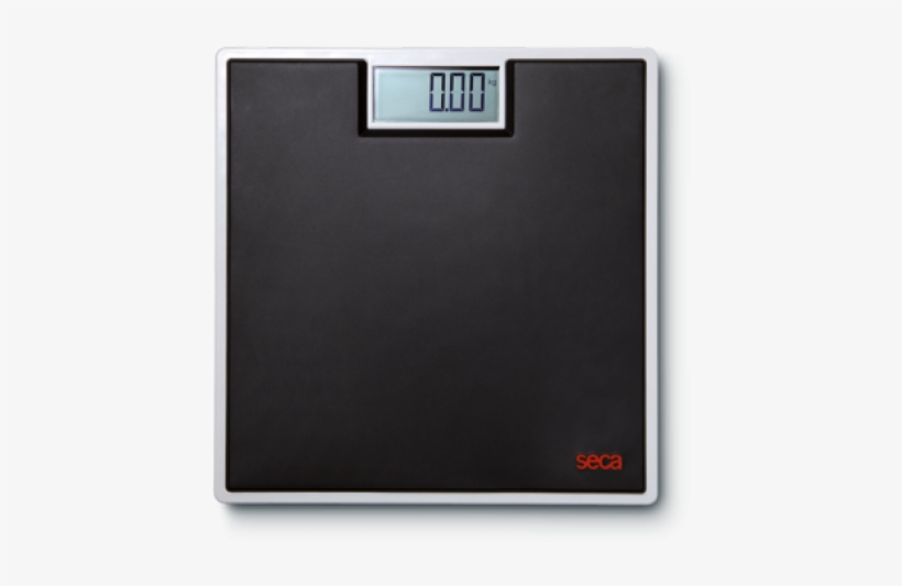 Seca 803 Digital Flat Scale For Individual Patient - Free Transparent ...