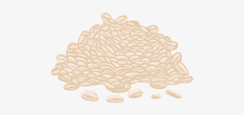 Oats - Wiki - Free Transparent PNG Download - PNGkey