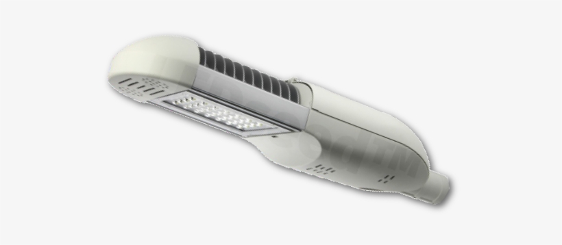 Picture - Second Life - Free Transparent PNG Download - PNGkey