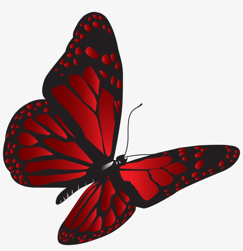 Red Butterfly Png - Free Transparent PNG Download - PNGkey