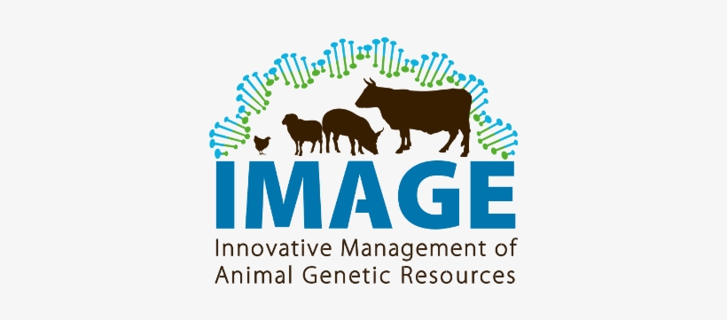 Animal Genetic Resources - Free Transparent PNG Download - PNGkey