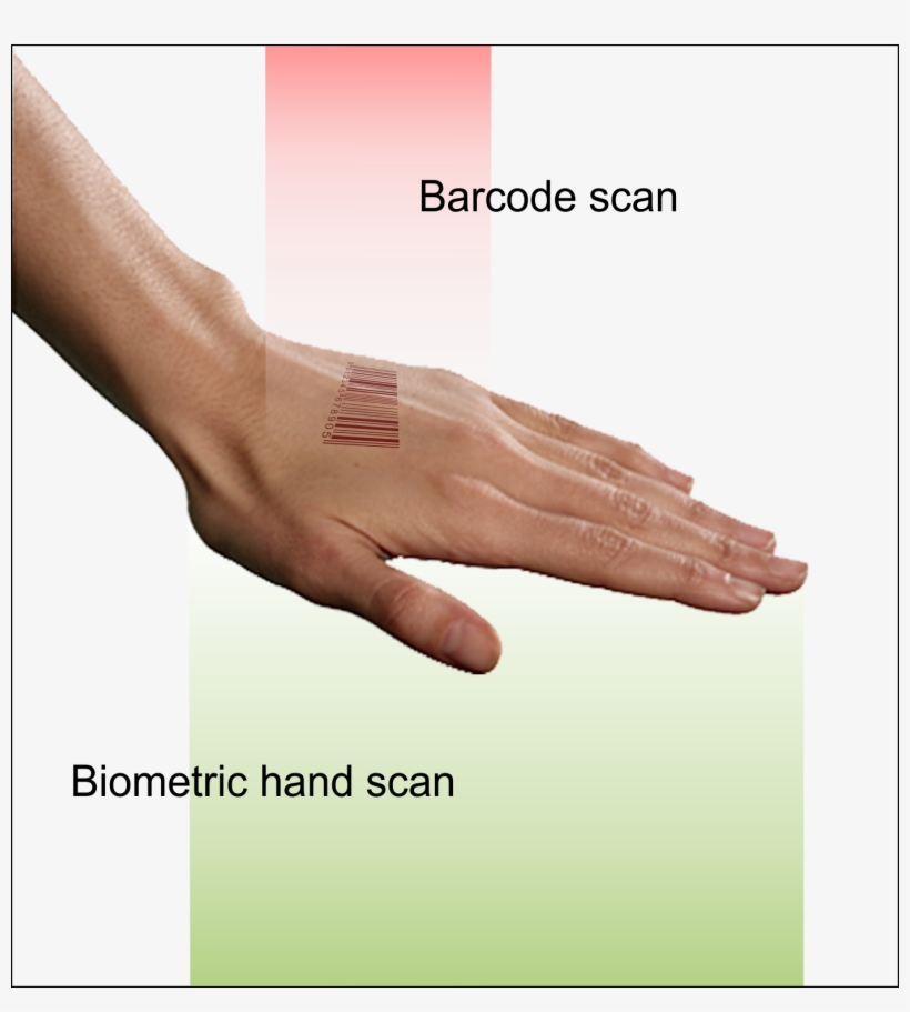Hand With Biometrics And Barcode Mark Being Scanned - Barcode - Free ...