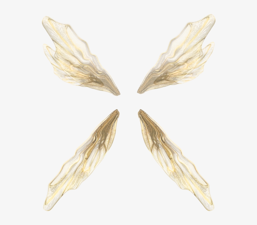 Wings - Insect - Free Transparent PNG Download - PNGkey