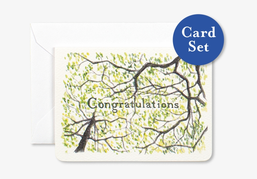 Congratulations Gleditsia Mini Card Set Of - Etsy - Free Transparent ...