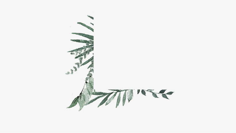 Leaf Scroll Clipart 758 - Christmas Tree - Free Transparent PNG ...