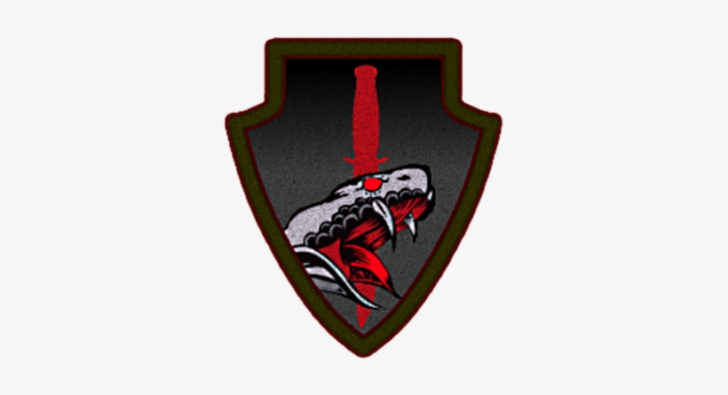 Viper Squad [viper] - Shield - Free Transparent PNG Download - PNGkey