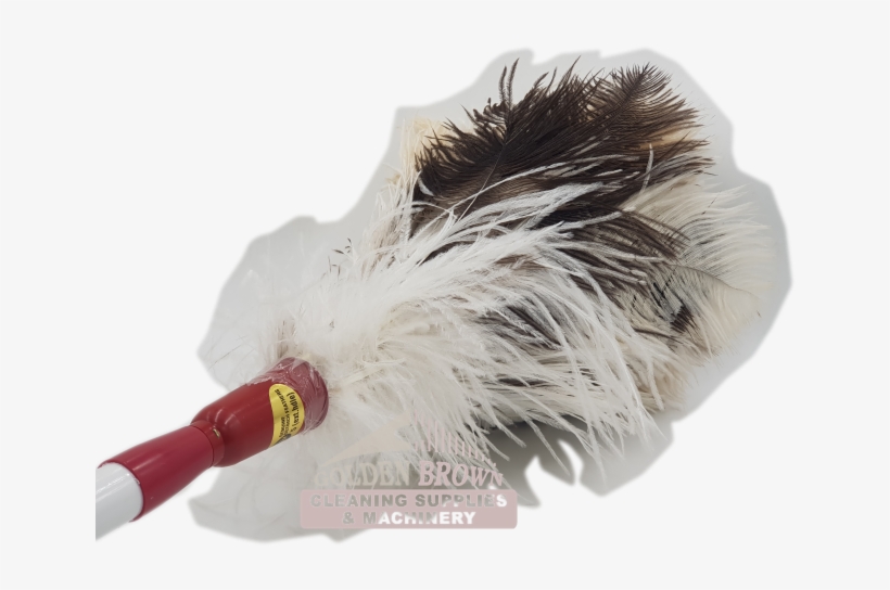 D3 Fd Feather Duster Ostrich Genuine C - Feather Duster - Free ...