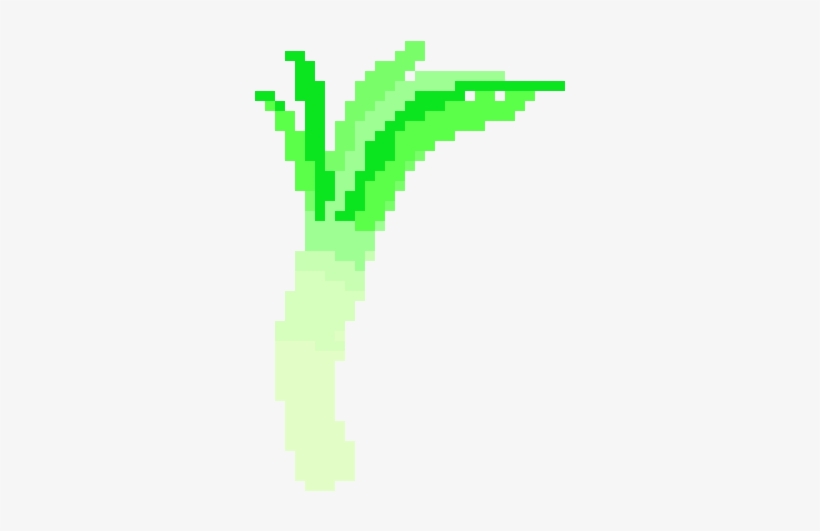 Leek - Free Transparent PNG Download - PNGkey