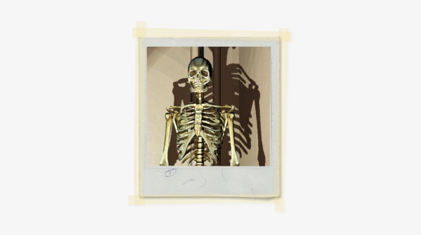 Tx E3 2a Sciclass Skeleton Unlocked - Texas - Free Transparent PNG ...
