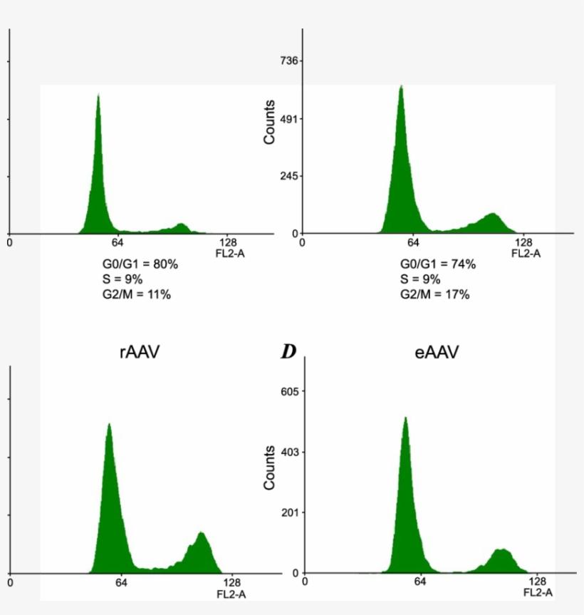 Clip Art Black And White Adenoviral Vector Aav - Diagram - Free ...