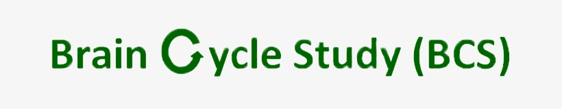 Bcs-logo - Fifa World Cup 2010 - Free Transparent PNG Download - PNGkey