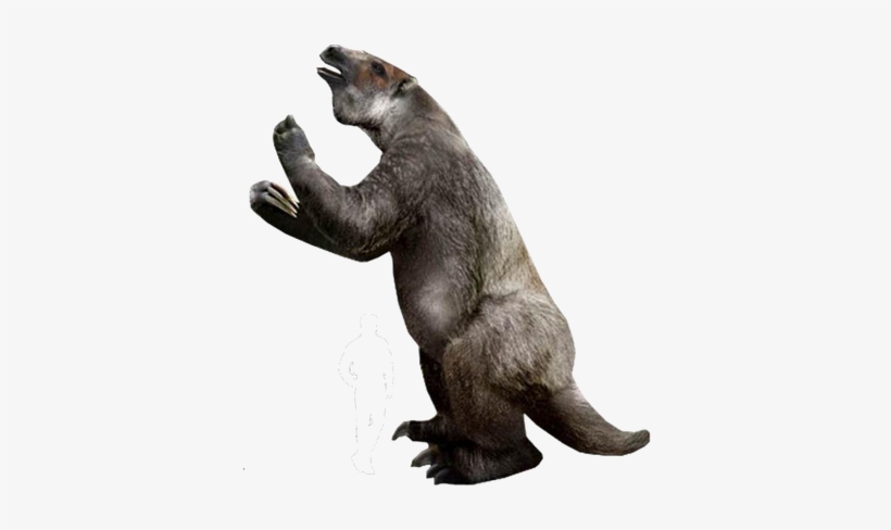 Megatherium Aka Giant Ground Sloth Prehistoric Giant - Giant Ground ...
